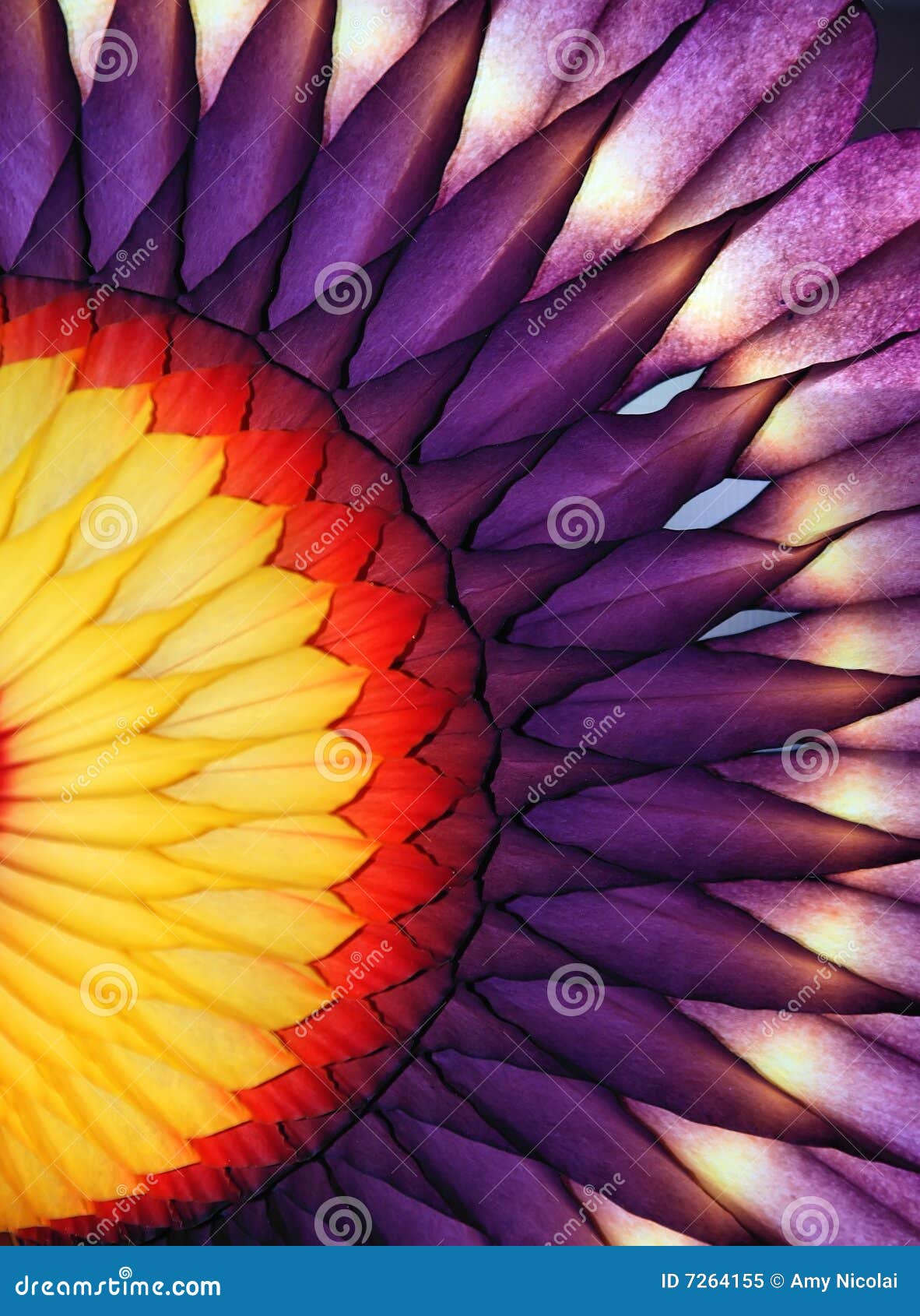 Paper sunburst stock image. Image of orange, paper, expand - 7264155