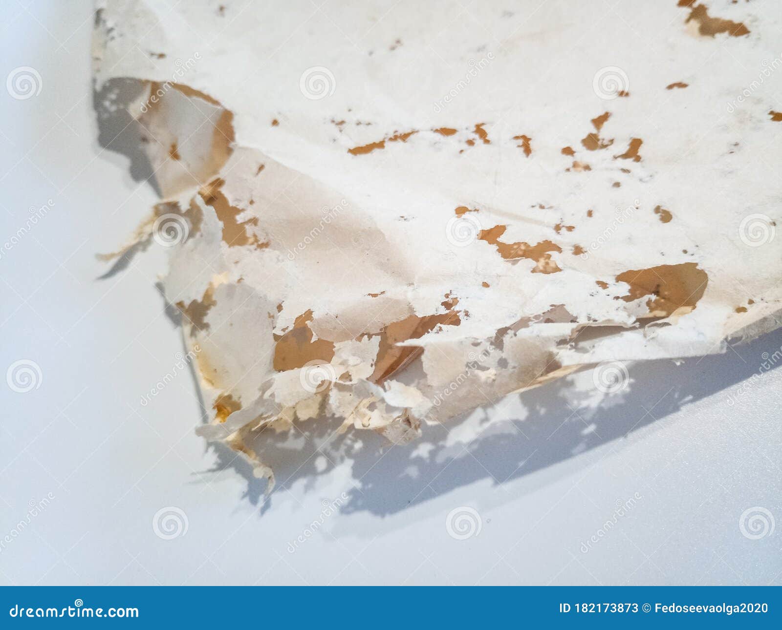 Paper Swallowed With Silverfish. Traces Of Wrecking Silverfish On Vinyl ...