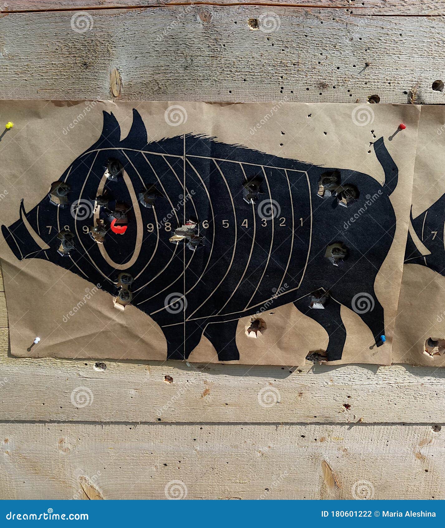 Paper Target Wild Boar Stock Photos - Free & Royalty-Free Stock Photos ...