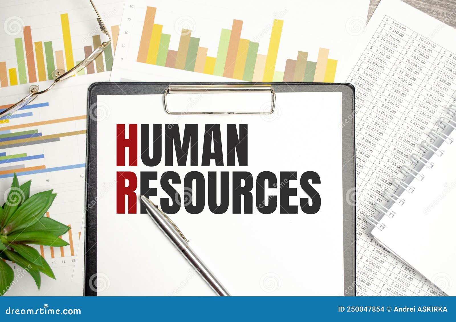 Paper with Text Human Resources on the Table on the Chart Stock Photo ...