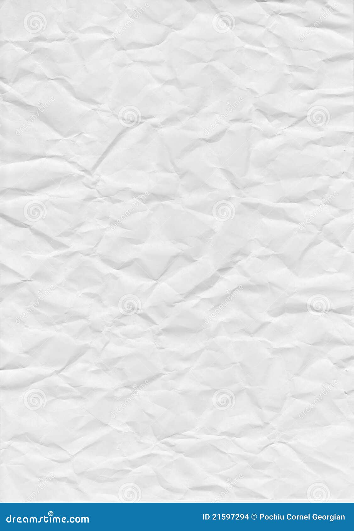 Organic Paper Texture