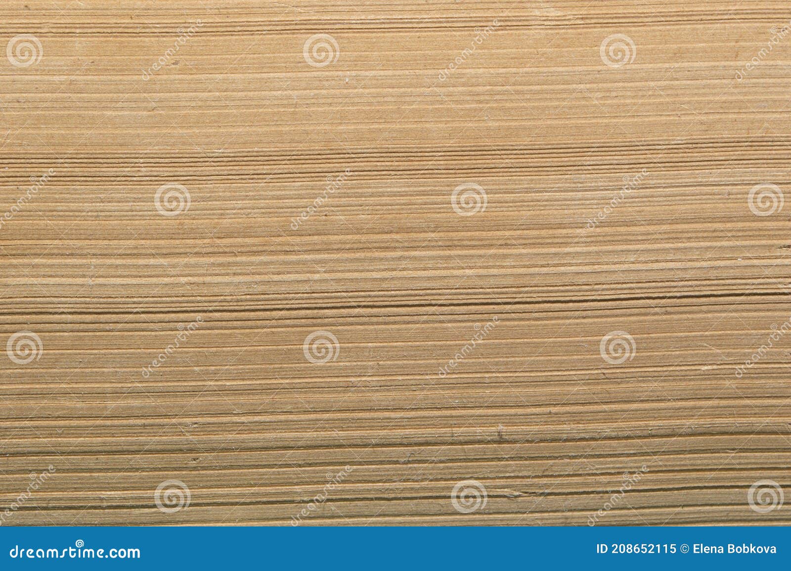 Paper Texture of Old Yellowed Book Sheets Stock Image - Image of wooden ...