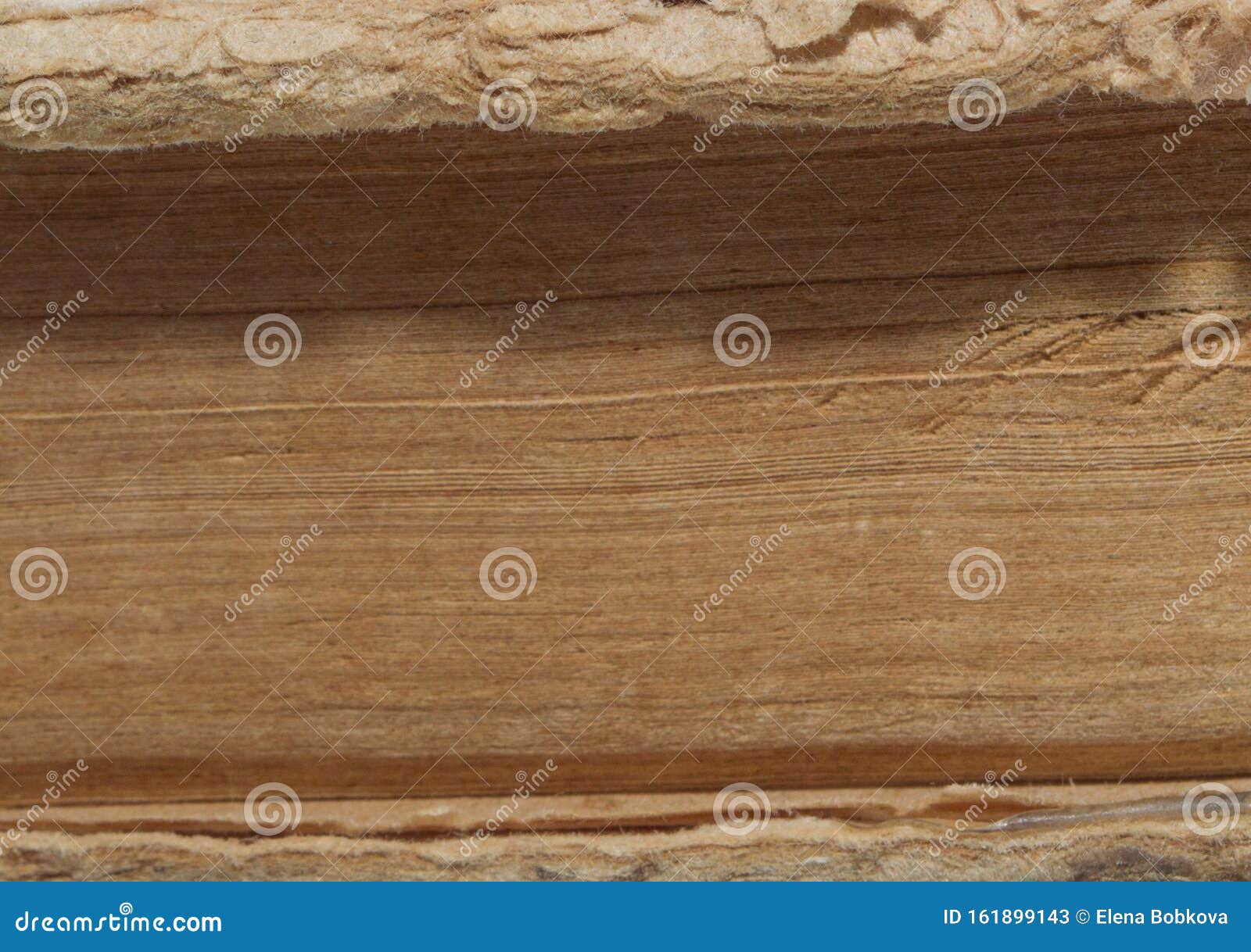 Paper Texture of Old Yellowed Book Sheets Stock Image - Image of ...