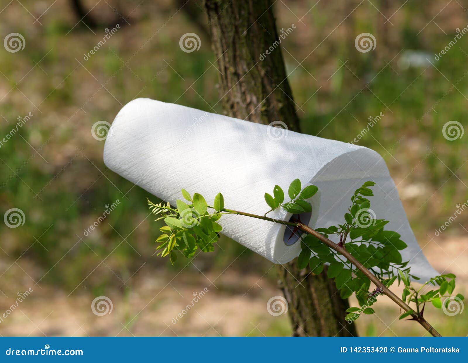 Paper Towel Roll on Tree Branch Stock Photo - Image of kitchen, cleaner ...