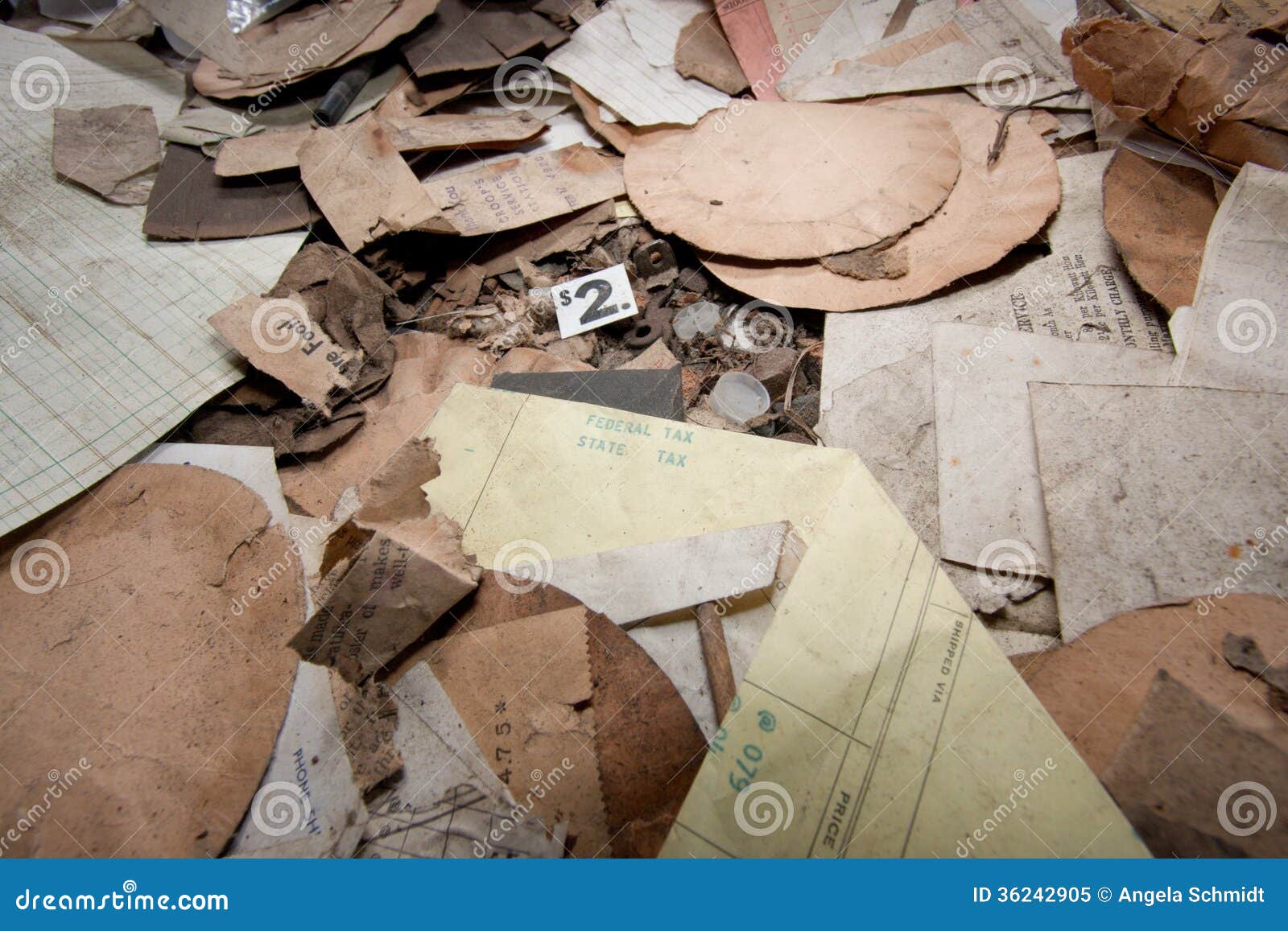 Paper Trash stock image. Image of hoarder, destruction - 36242905