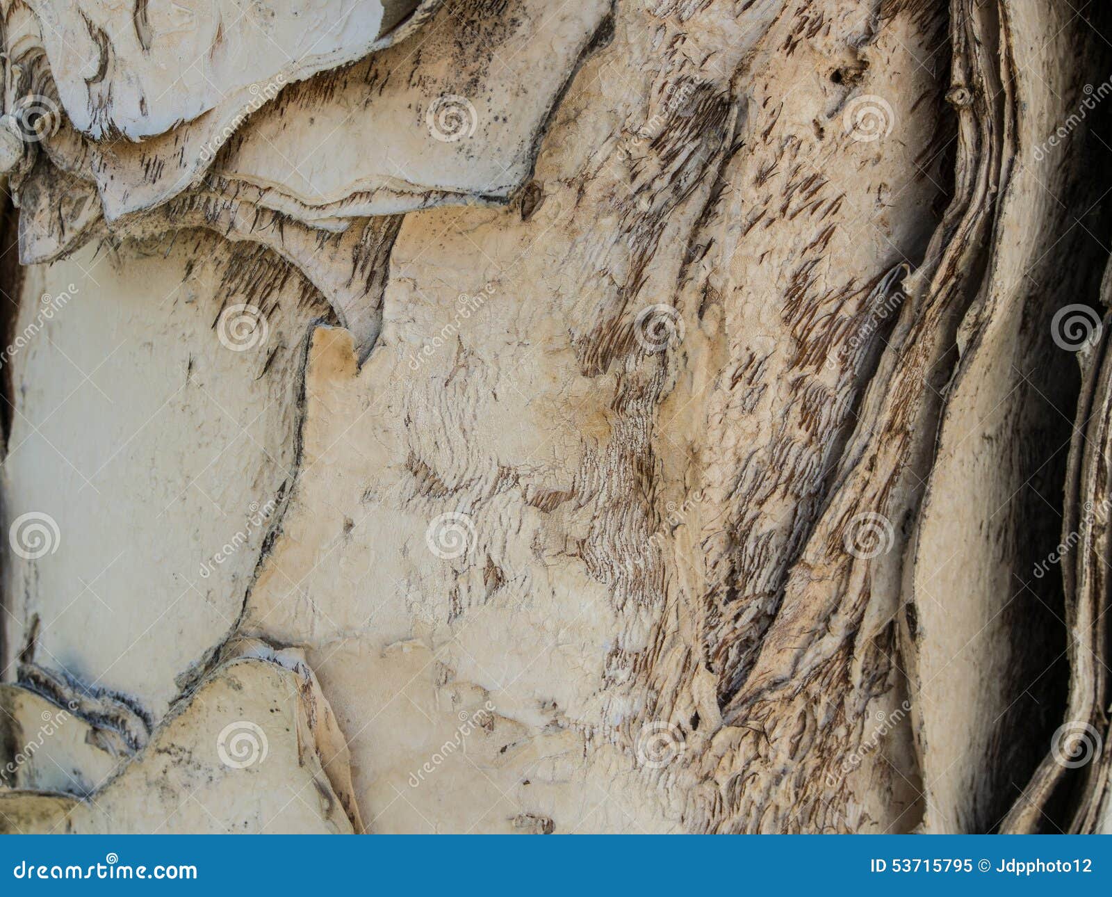 Paper Tree Bark with Designs-5022249 Stock Image - Image of colors ...