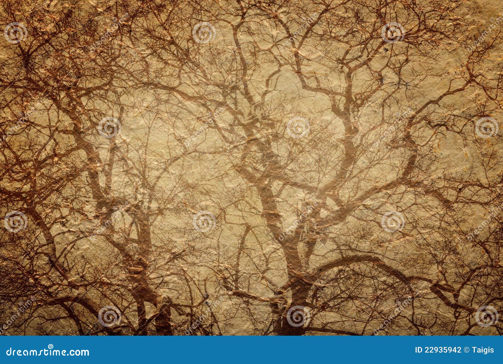 Paper with tree branches stock photo. Image of dirty - 22935942