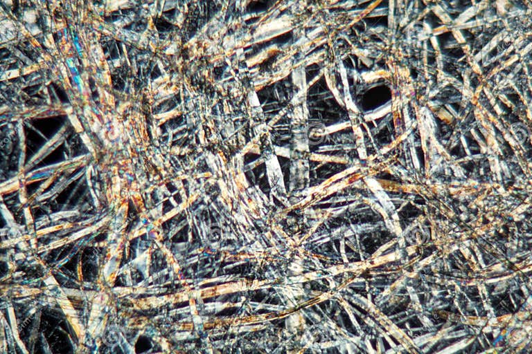 Paper under the microscope stock photo. Image of paper - 82013546