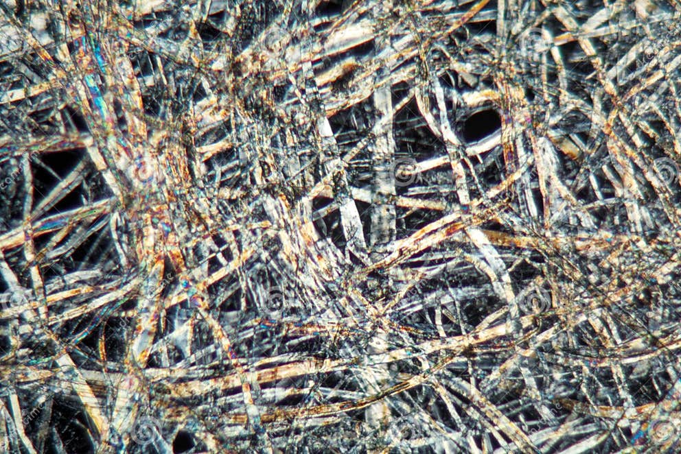 Paper under the microscope stock photo. Image of paper - 82013546