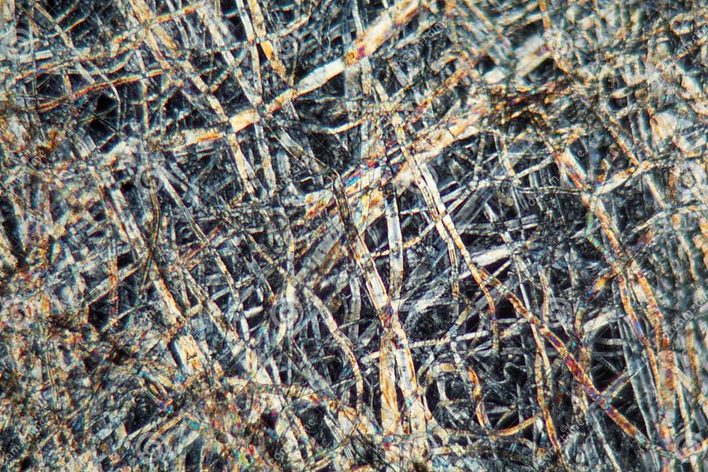 Paper under the microscope stock image. Image of fine - 82014597