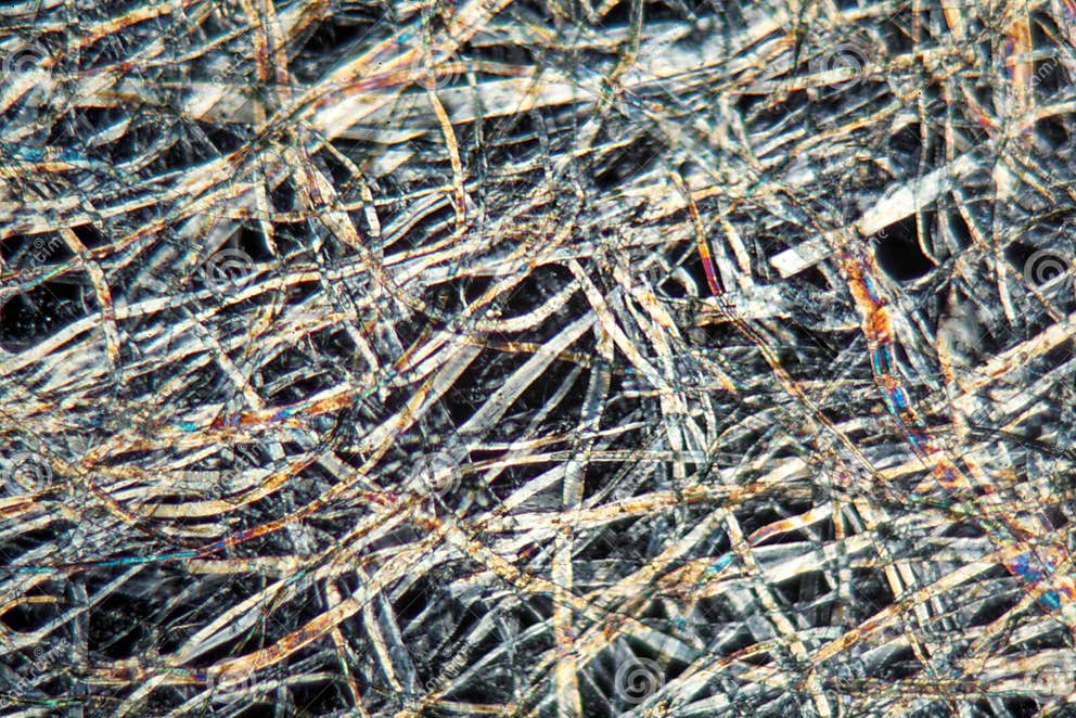 Paper under the microscope stock image. Image of texture - 82015469