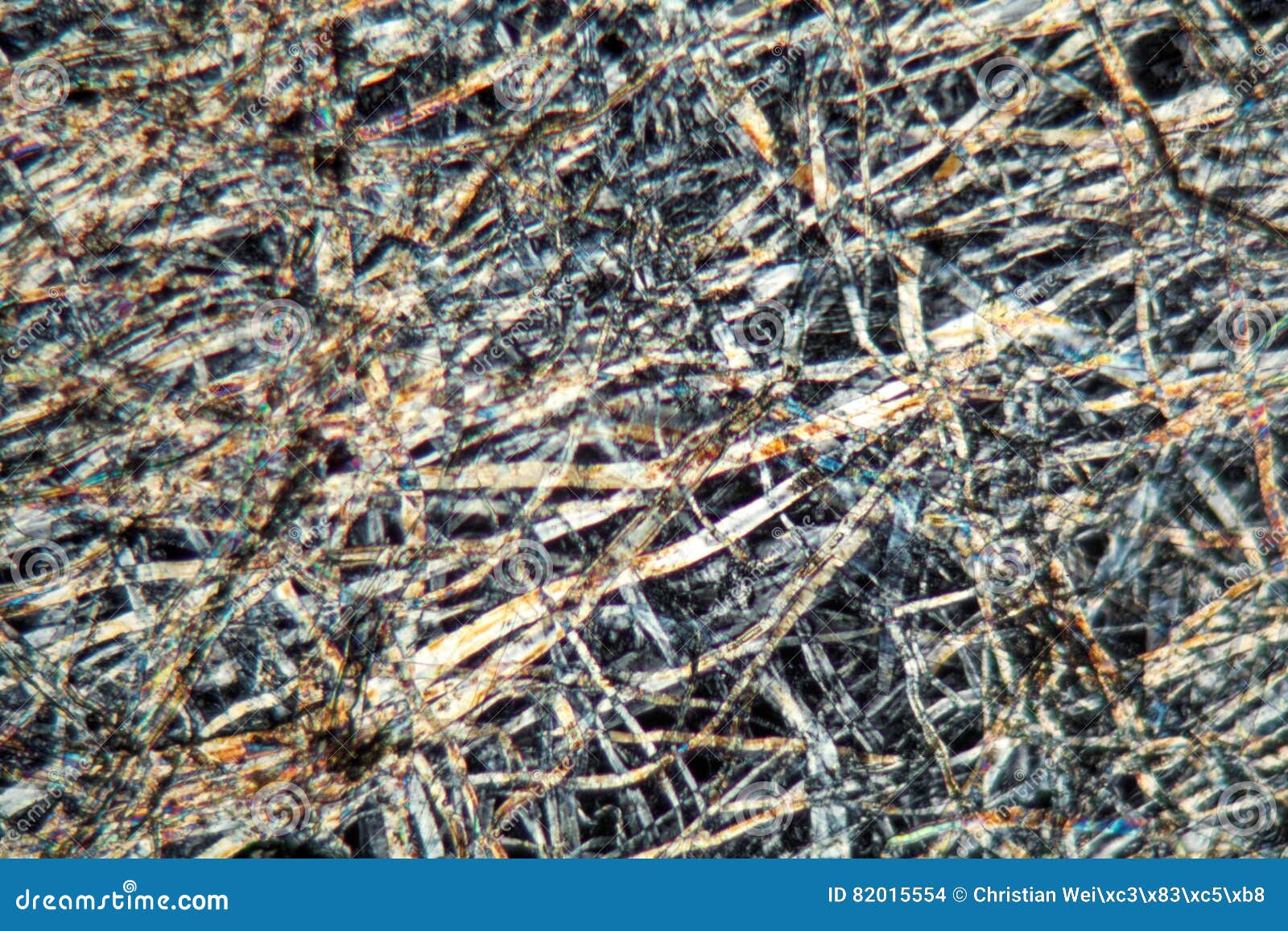 Paper under the microscope stock photo. Image of identity - 82015554