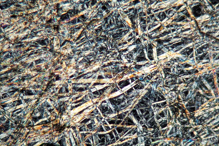 Paper under the microscope stock photo. Image of identity - 82015554