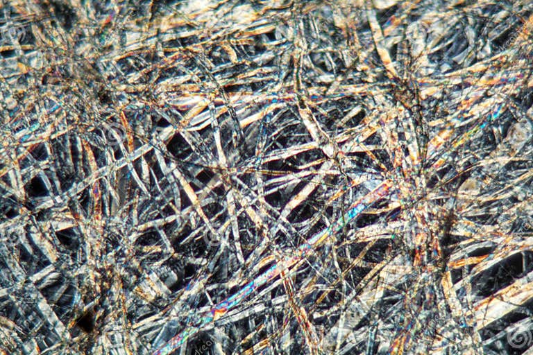 Paper under the microscope stock photo. Image of recycling - 82015558