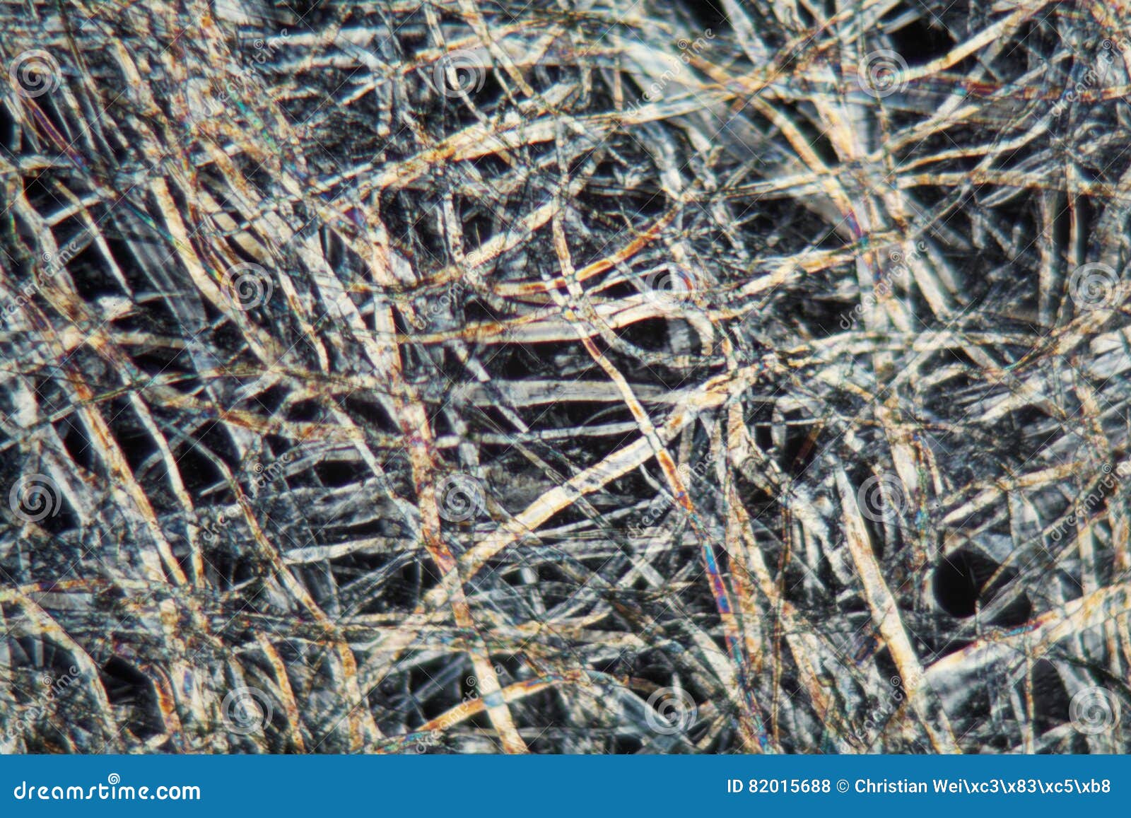 Paper under the microscope stock photo. Image of fine - 82015688