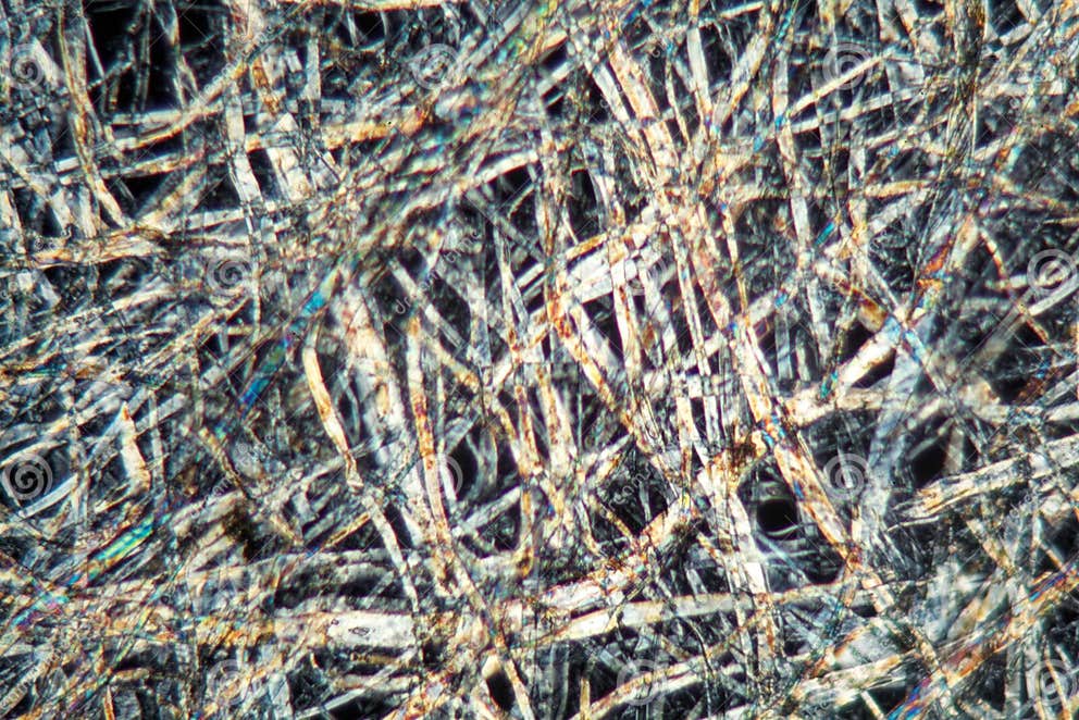 Paper under the microscope stock image. Image of ecology - 82018599