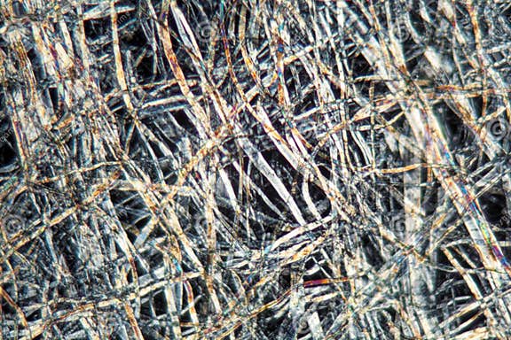 Paper under the microscope stock image. Image of design - 82018939