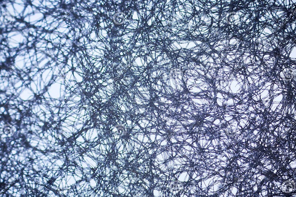 Paper under a microscope stock photo. Image of cellulose - 186762310