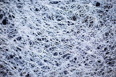 Paper under a microscope stock image. Image of recycle - 186762321