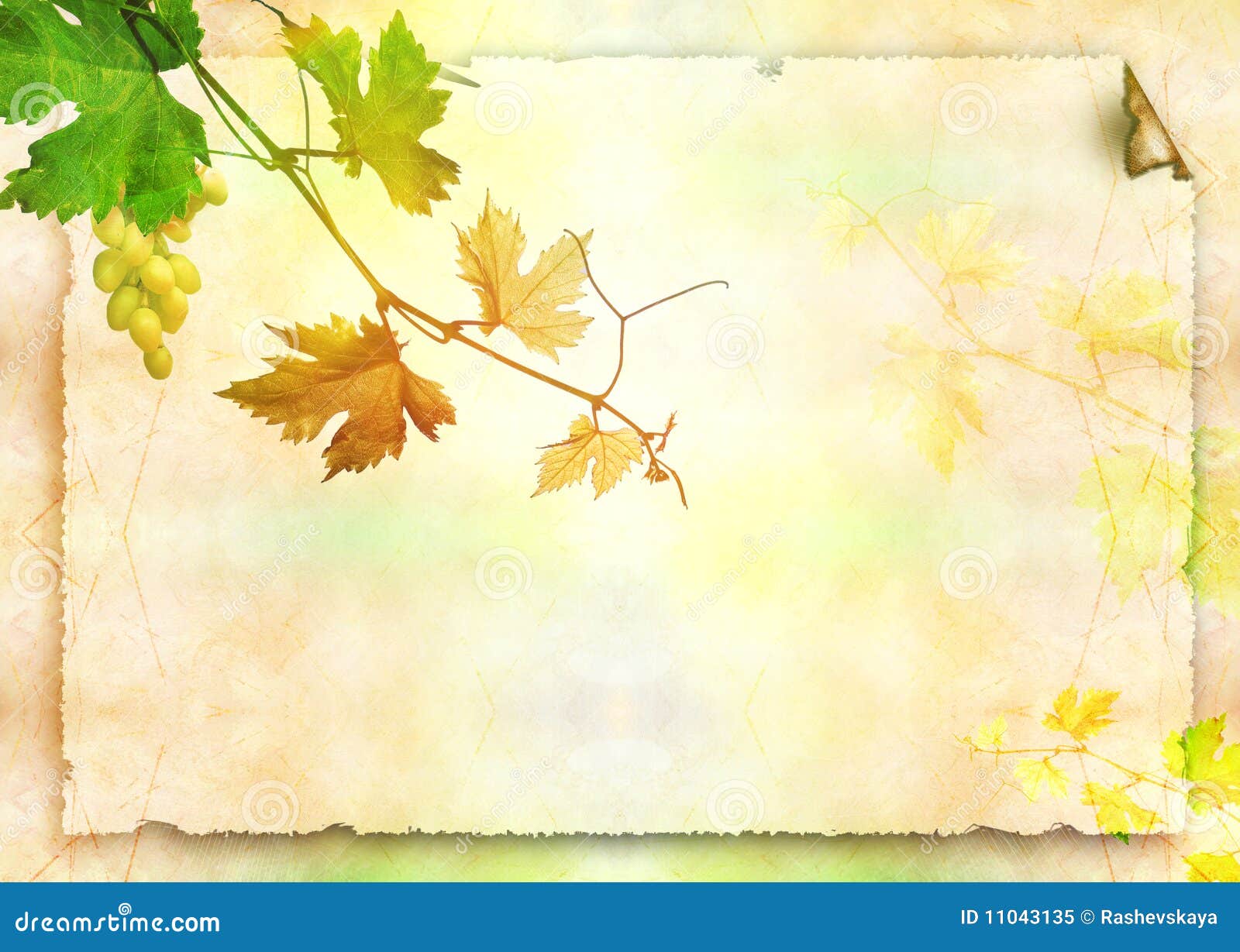 Paper and vine stock illustration. Illustration of grate - 11043135