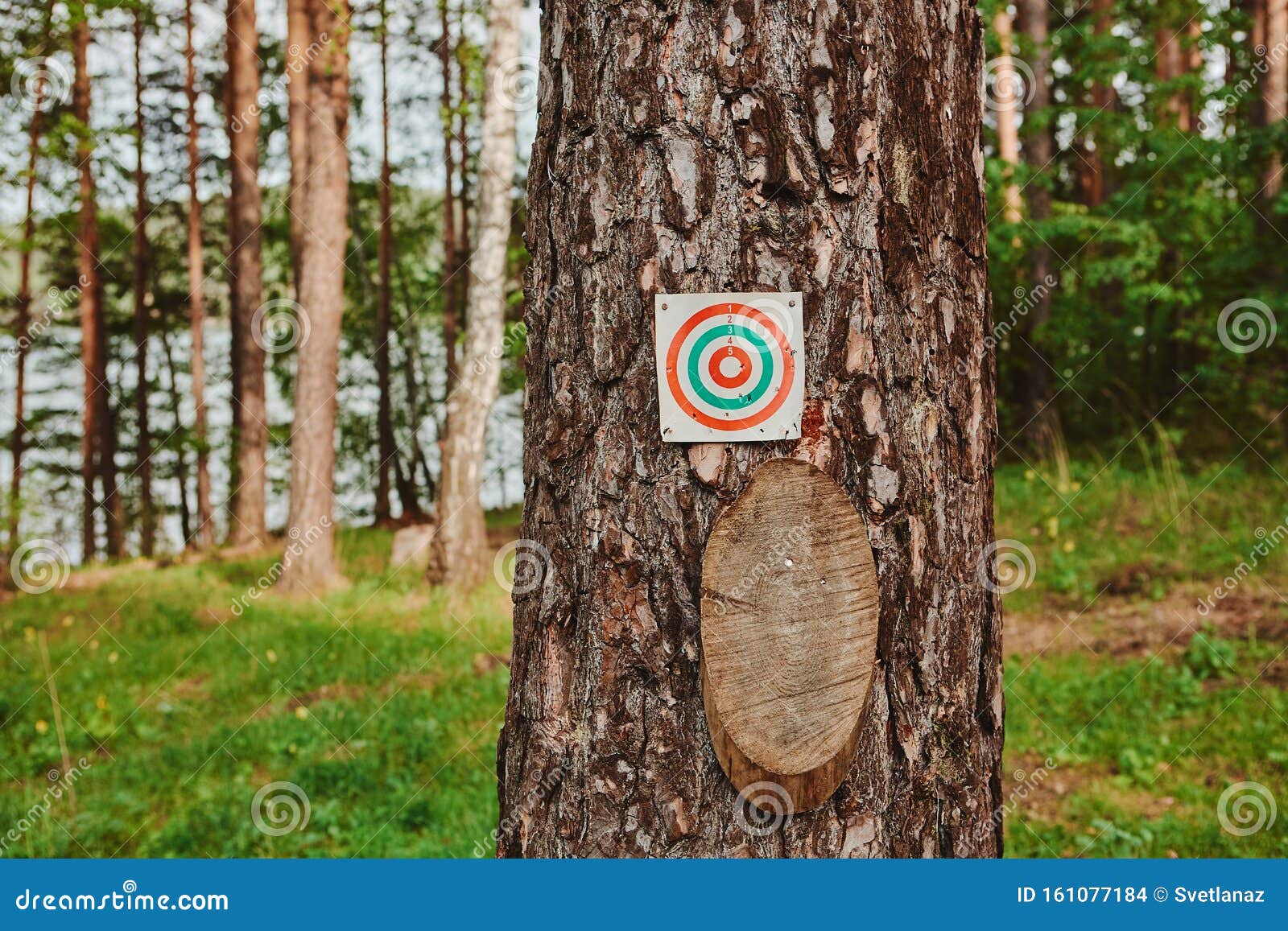 Paper and Wood Target on the Tree for Games and Shooting Training Stock ...