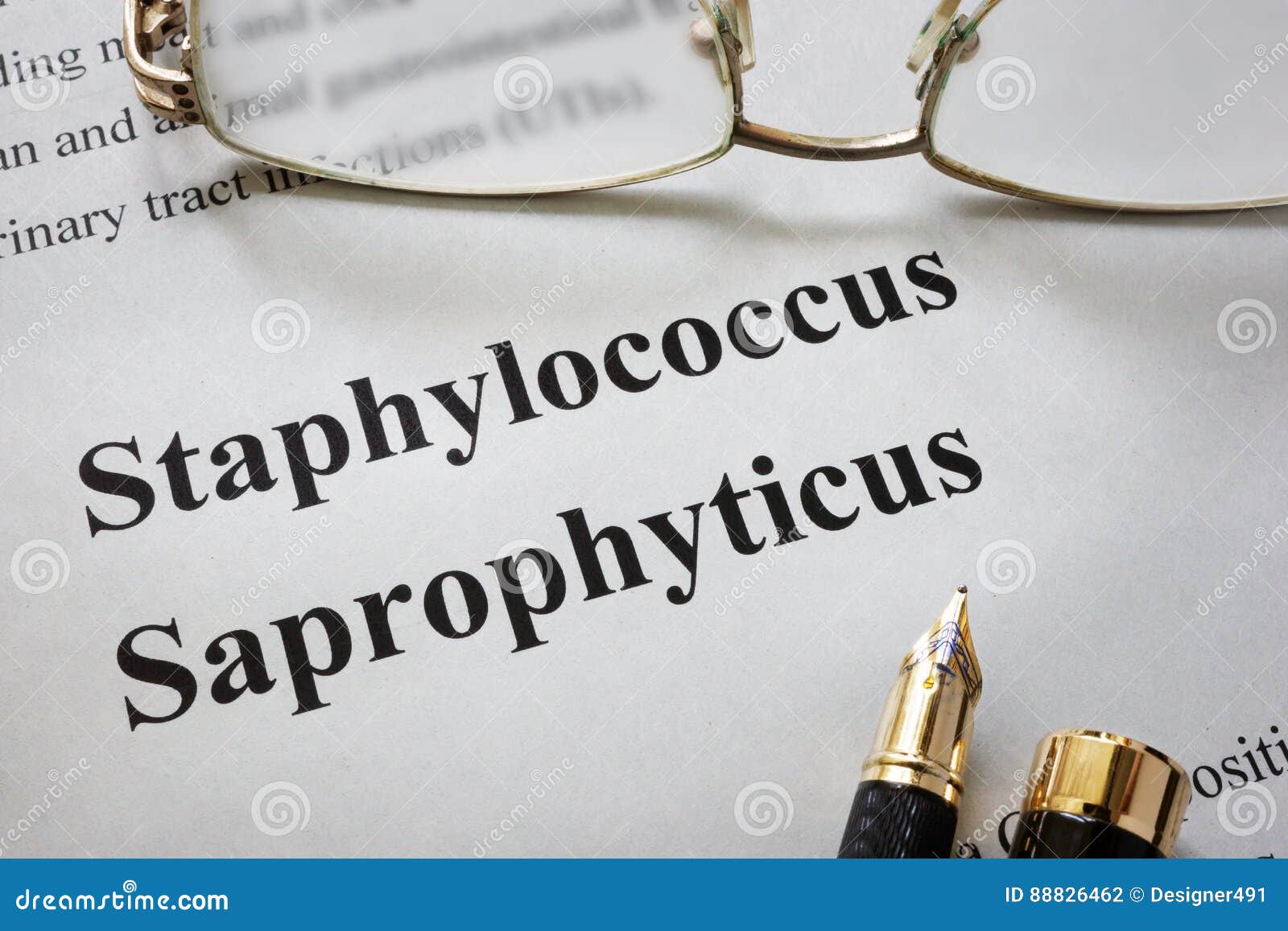 Paper with Words Staphylococcus Saprophyticus and Glasses. Stock Photo ...