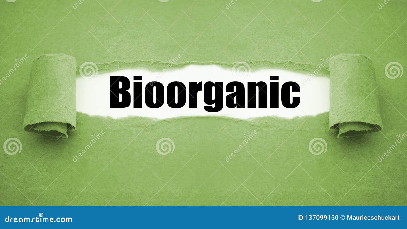 Paper Work with Bioorganic Nutrition Stock Photo - Image of paper ...
