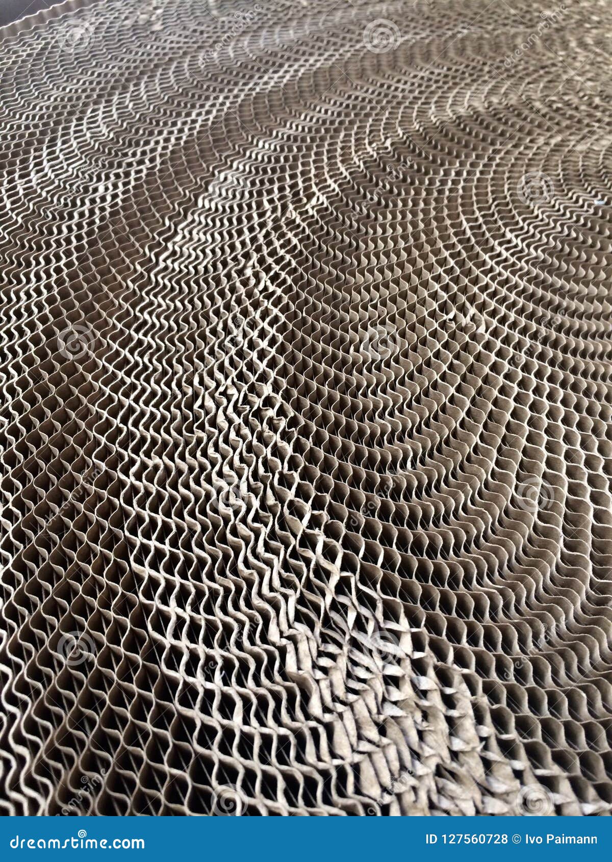 Paperboard roll stock photo. Image of spiral, isolation - 127560728