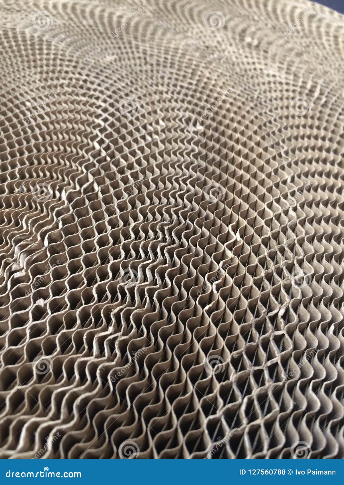 Paperboard roll stock photo. Image of rough, consumables - 127560788