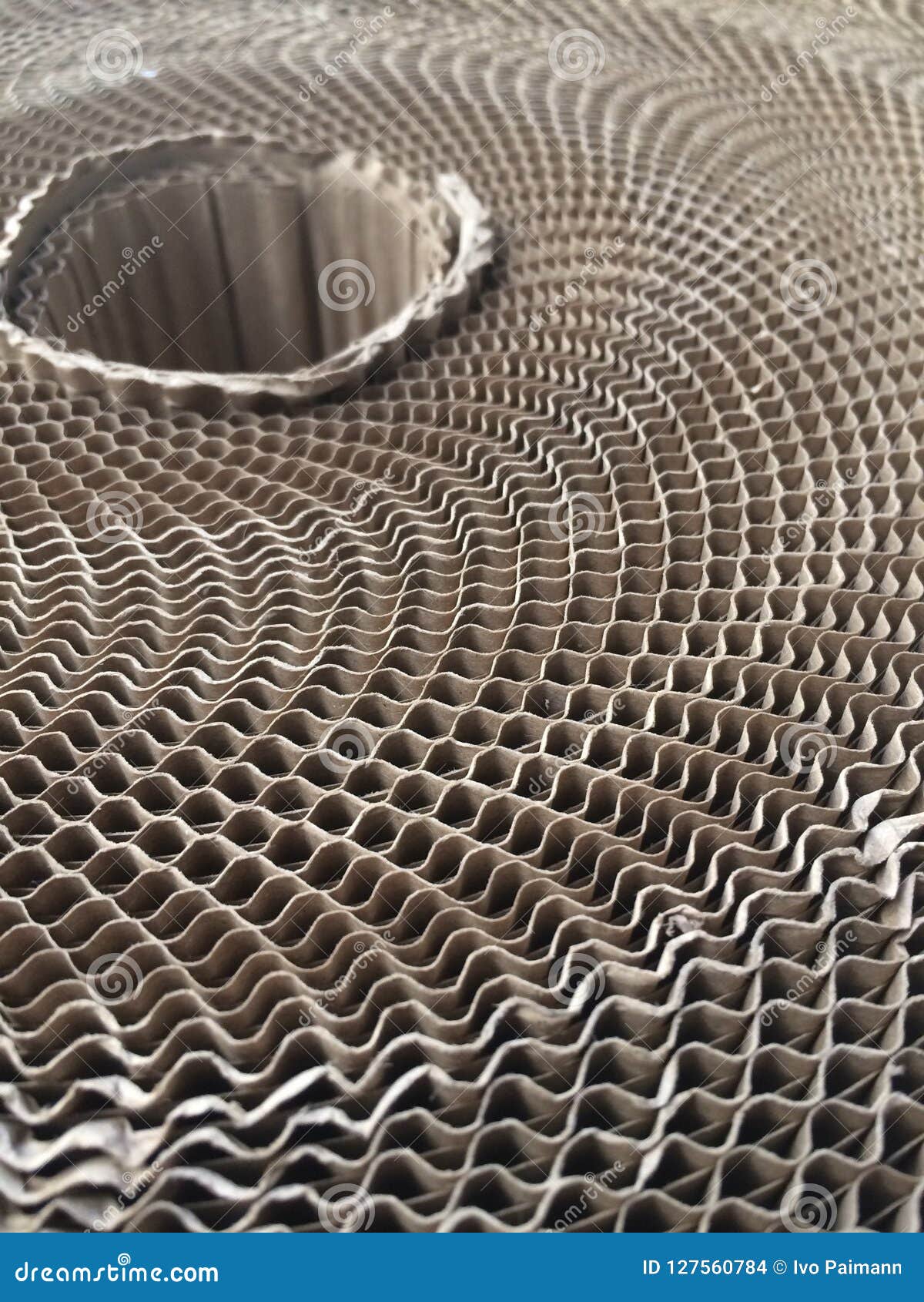 Paperboard roll stock photo. Image of consumables, rough - 127560784