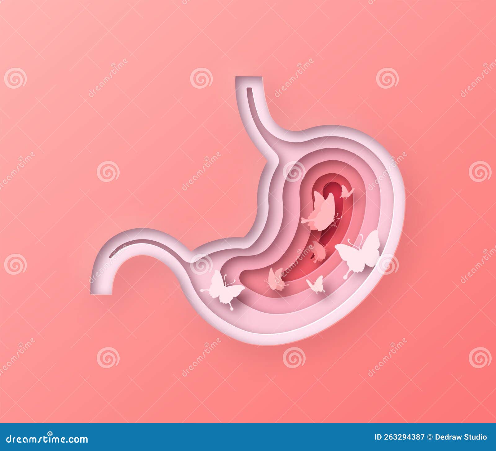 Realistic 3D Paper Cut Human Stomach with Butterflies Inside Stock ...