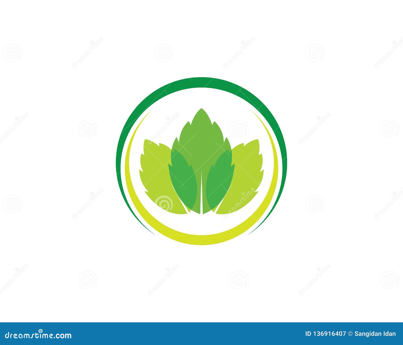 Papermint Leaf Illustration Vector Stock Vector - Illustration of ...