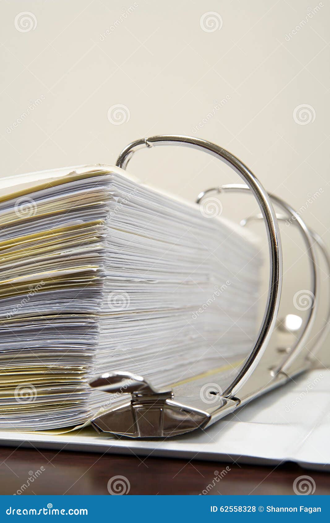 Papers in a ring binder stock photo. Image of individually - 62558328