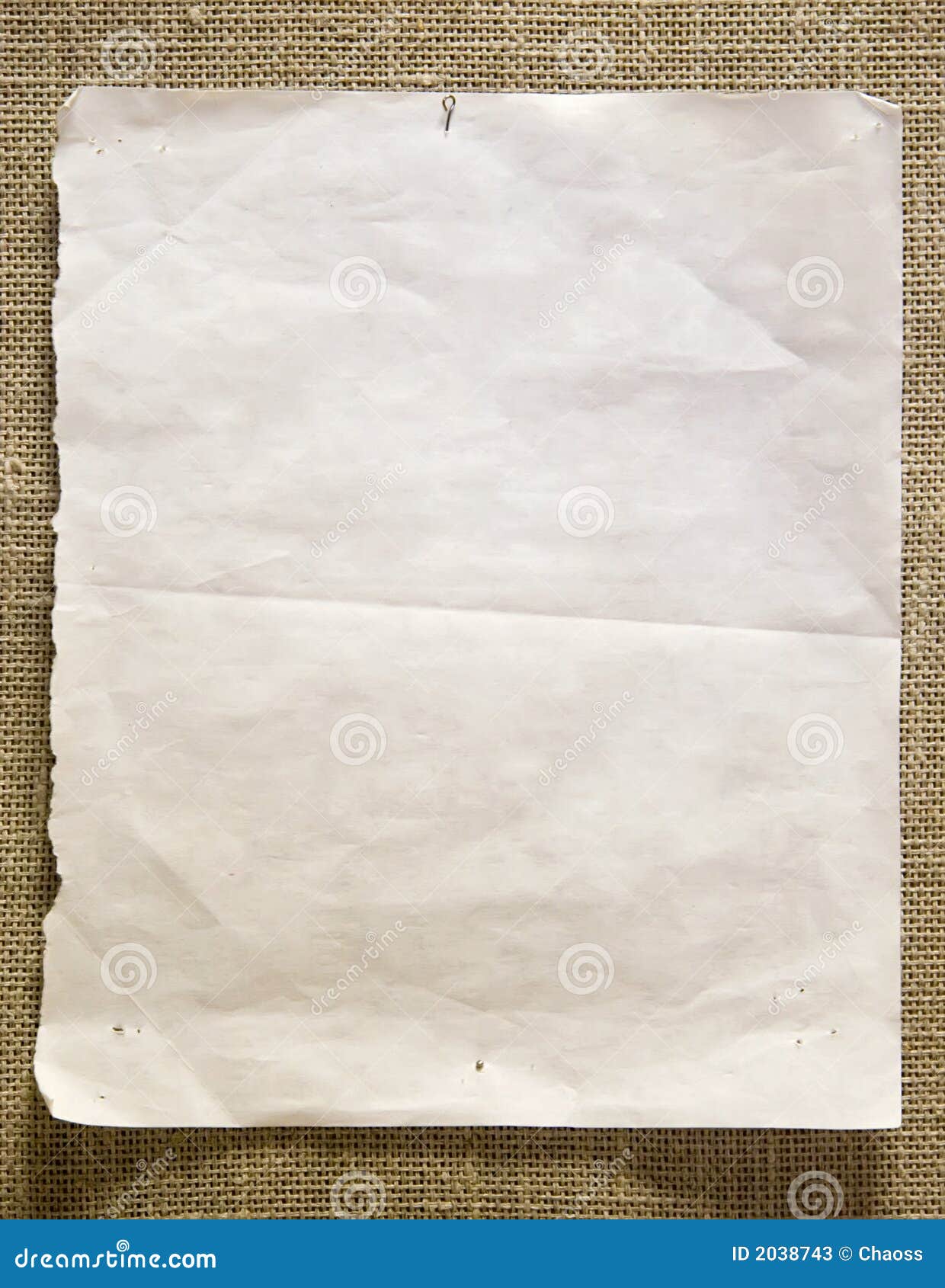 Papier de Pin sur un mur image stock. Image du affaiblissement - 2038743