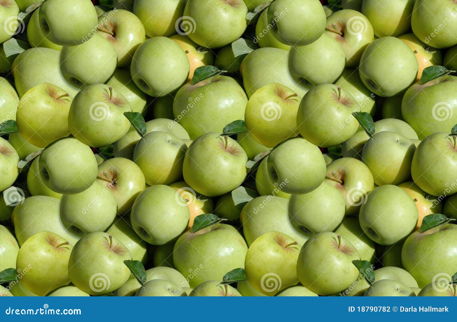 Papier peint vert de pomme photo stock. Image du moisson - 18790782