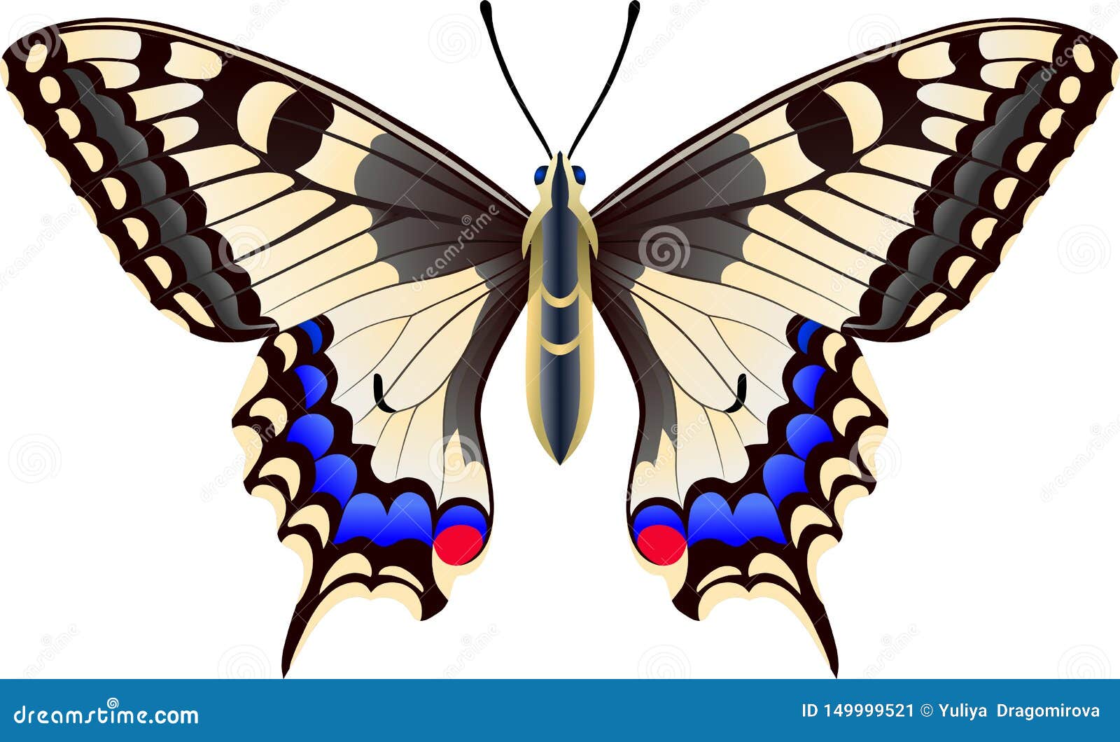 Papilio Machaon Utterfly Vector Image Stock Vector - Illustration of ...