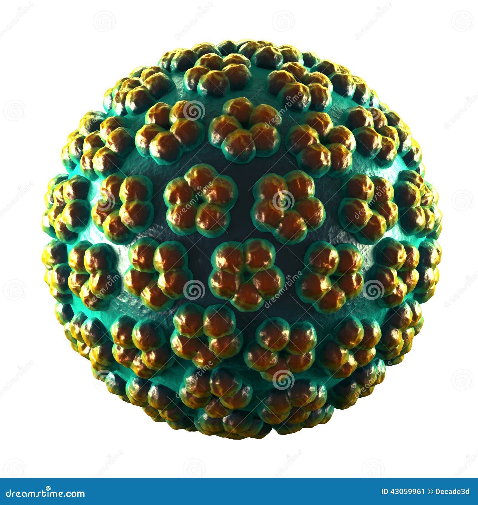 Papilloma Virus - HPV - Isolated on White Stock Illustration ...