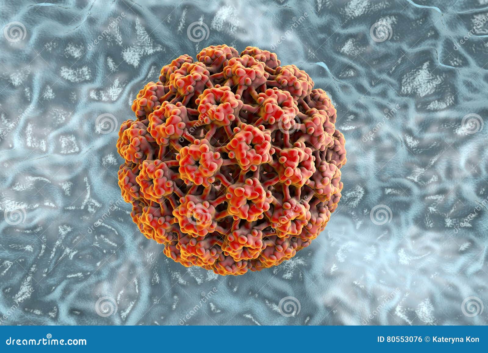 Papillomavirus Humain Sur La Surface De La Peau Illustration Stock ...