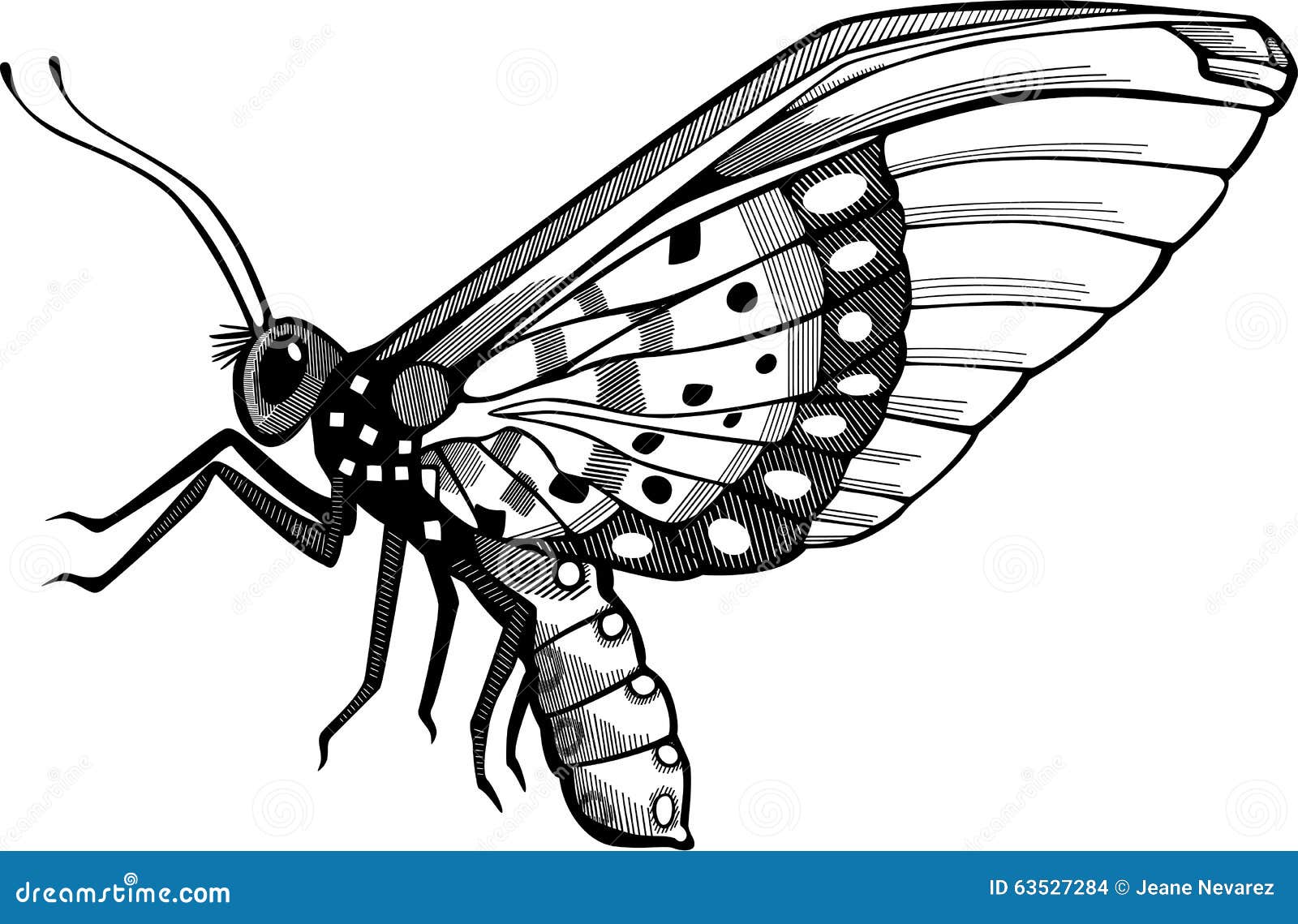 Papillon illustration de vecteur. Illustration du blanc - 63527284