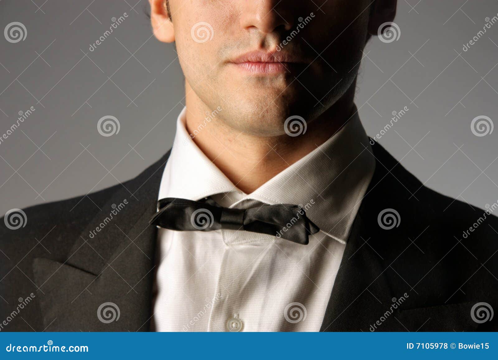 Papillon stock photo. Image of groom, chin, studio, jacket - 7105978