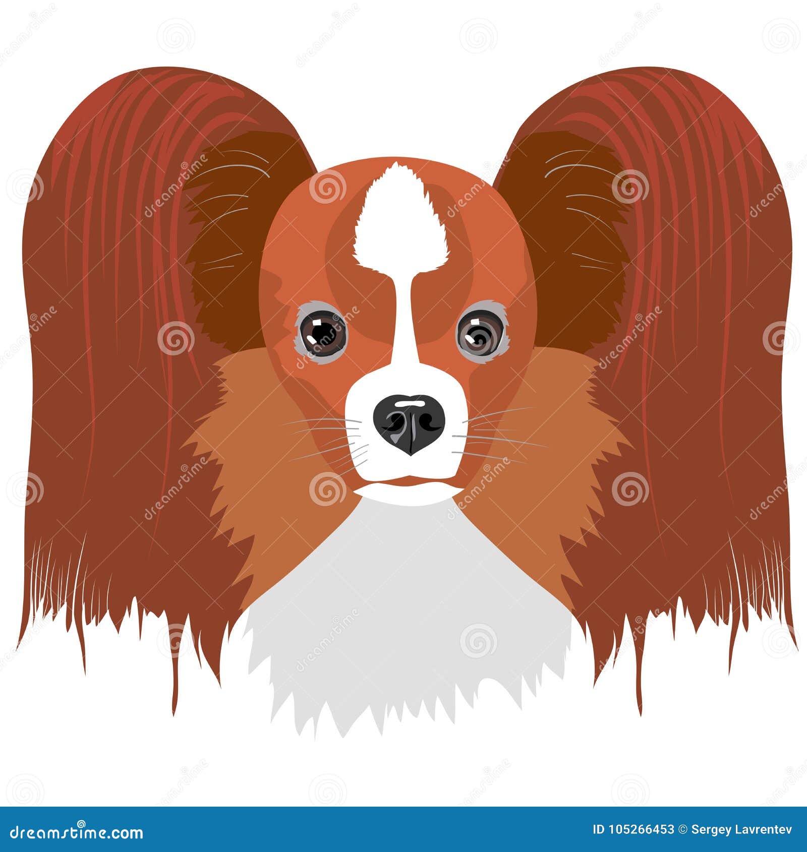 Papillon Dog Isolated on White Background Stock Vector - Illustration ...