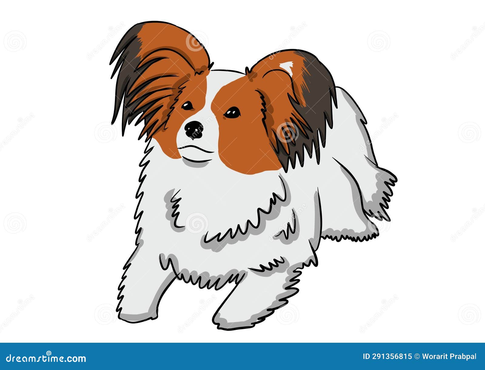 Papillon stock illustration. Illustration of pets, illustrations ...