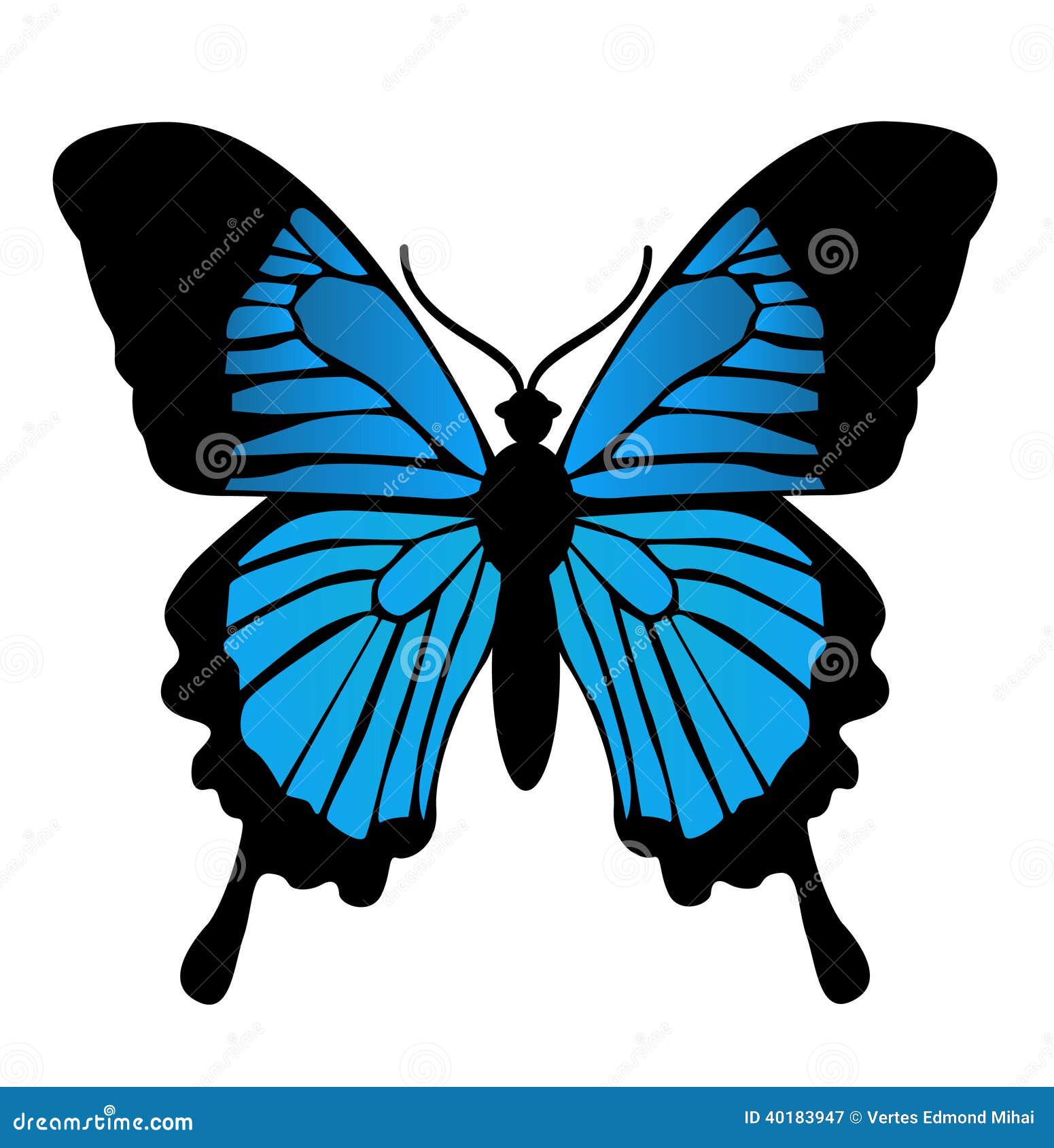 Papillon. Illustration De Vecteur Illustration de Vecteur - Image: 40183947