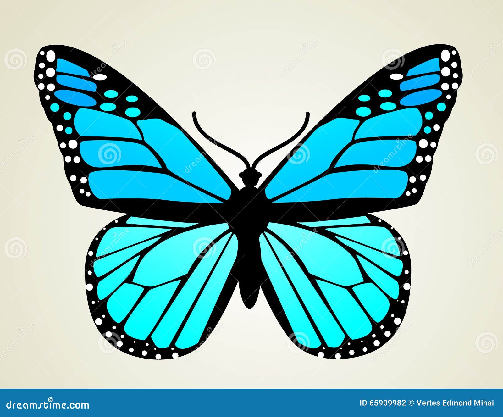 Papillon Illustration De Vecteur Illustration de Vecteur - Illustration ...