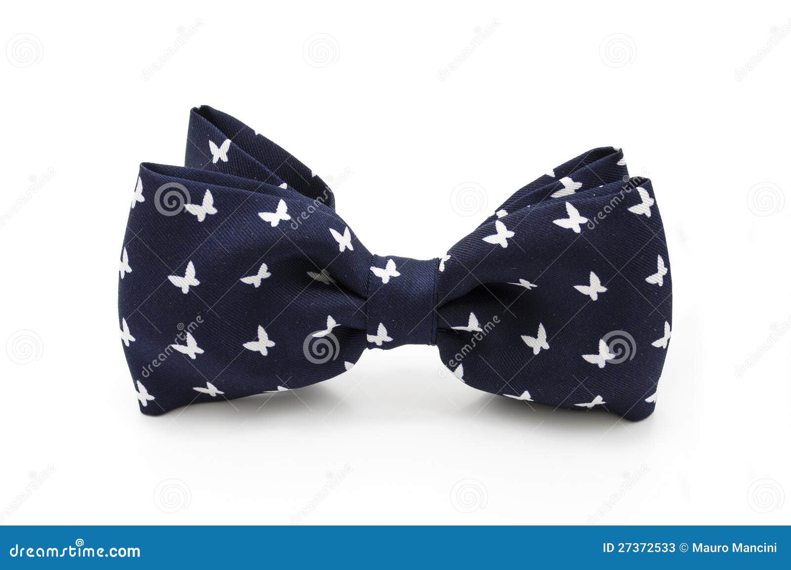 Papillon for man stock image. Image of young, wait, adjust - 27372533