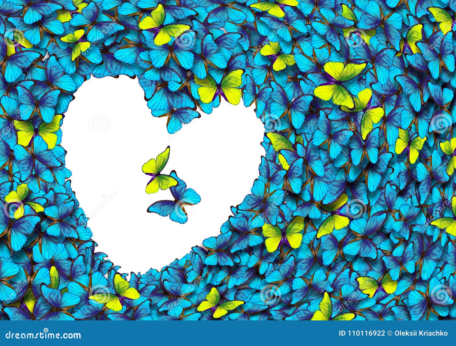 Papillon Morpho Ailes D'un Papillon Morpho Illustration Stock ...