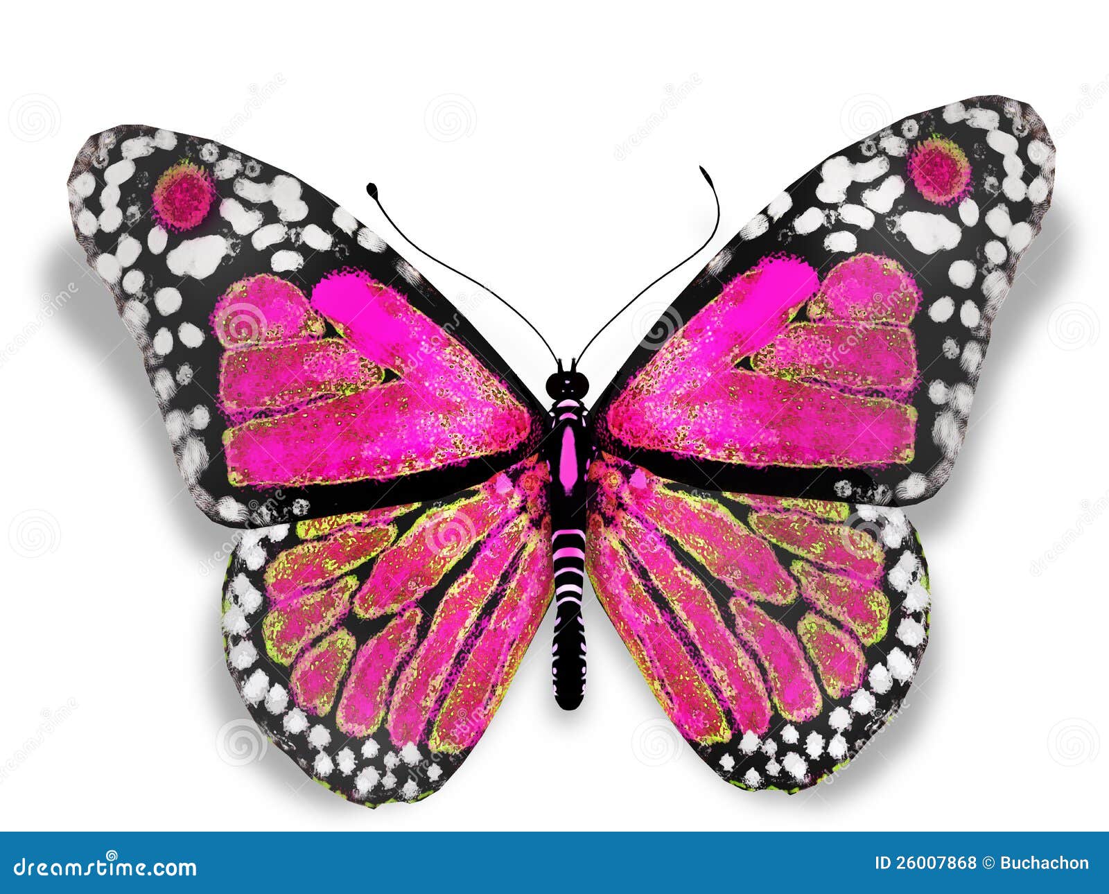 Papillon rose illustration stock. Illustration du ailes - 26007868