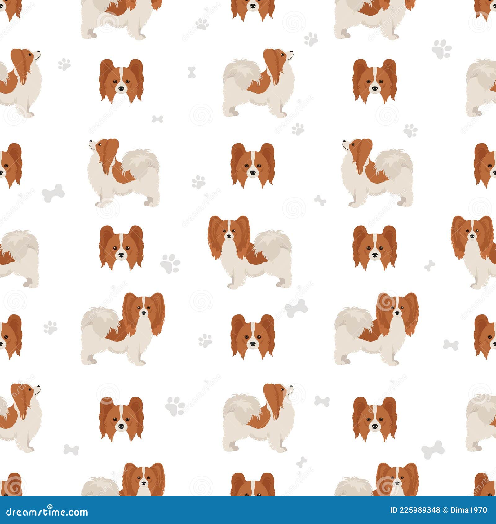 Papillon Seamless Pattern. Different Poses, Coat Colors Set Stock ...