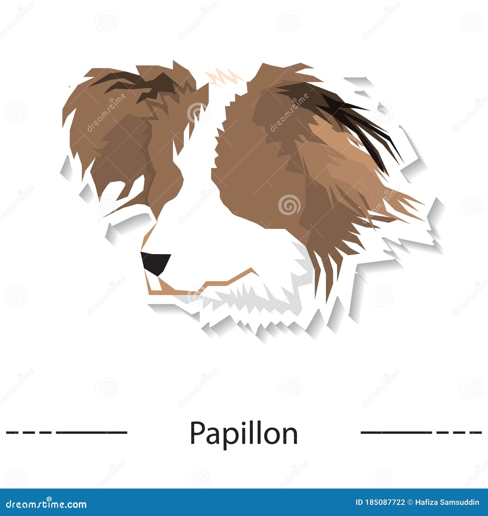 Papillon - Vector Set Isolated Illustration On White Background ...