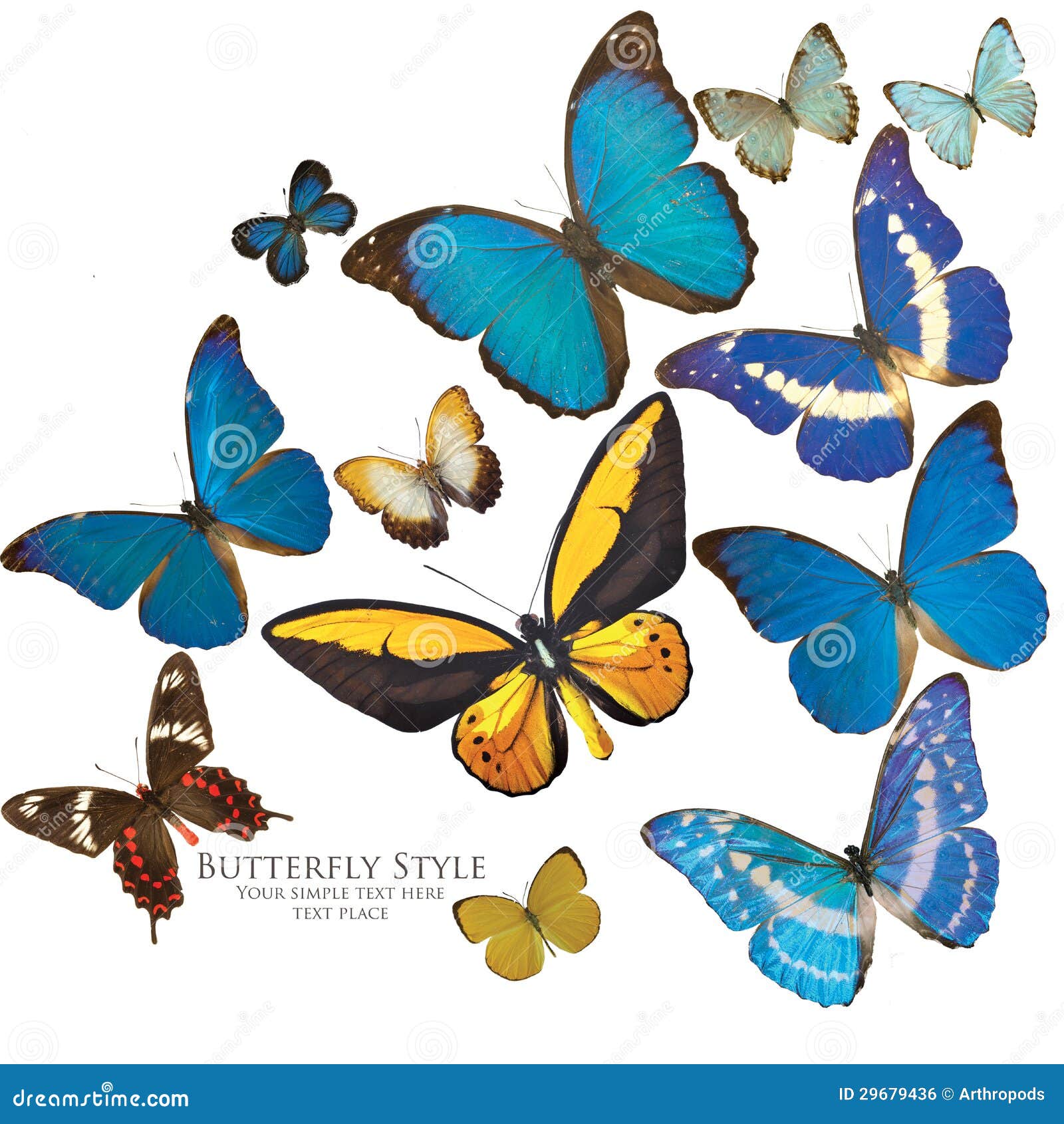 Papillons illustration stock. Illustration du coléoptère - 29679436